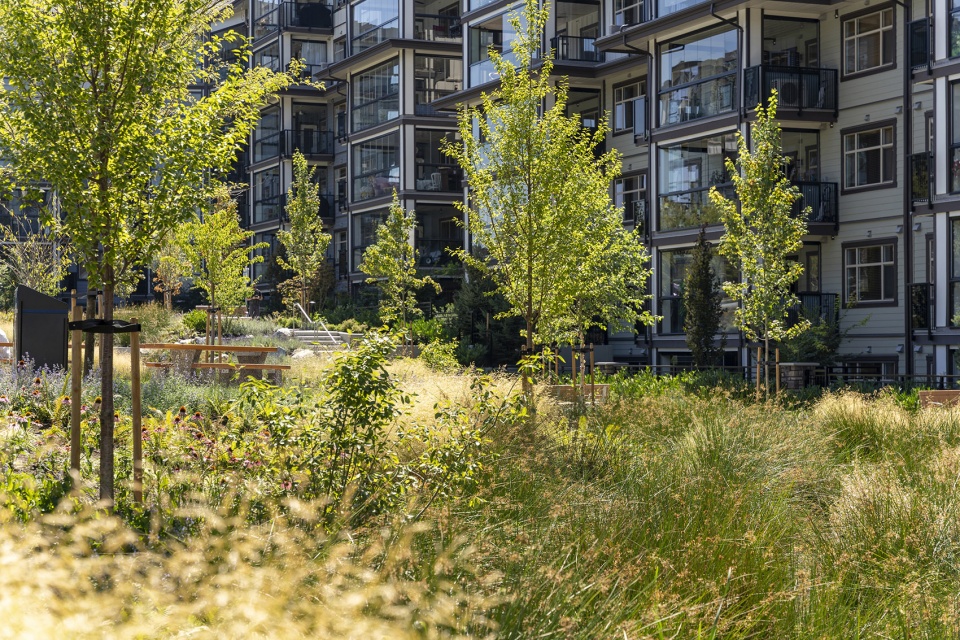 Carvolth综合开放空间-Goldenview公园，加拿大 / PMG Landscape Architects - docin.com豆丁网